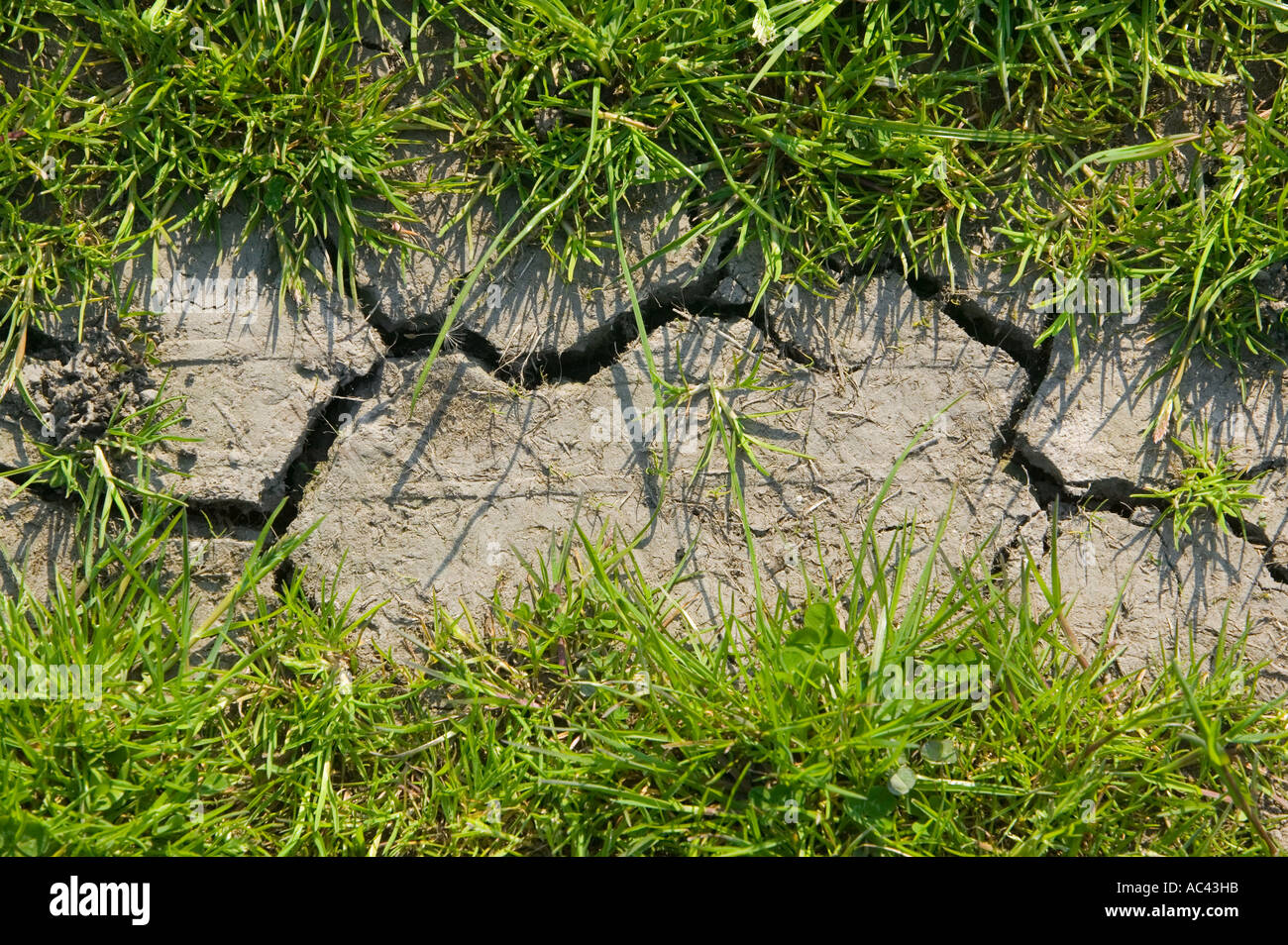 Shrinking crack hi-res stock photography and images - Alamy