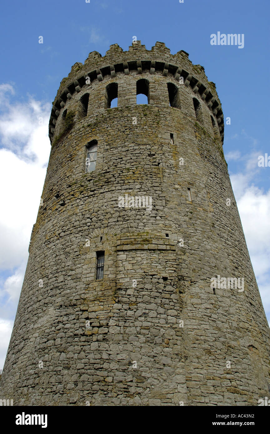 Nenagh Castle Co Tipperary Ireland Stock Photo - Alamy