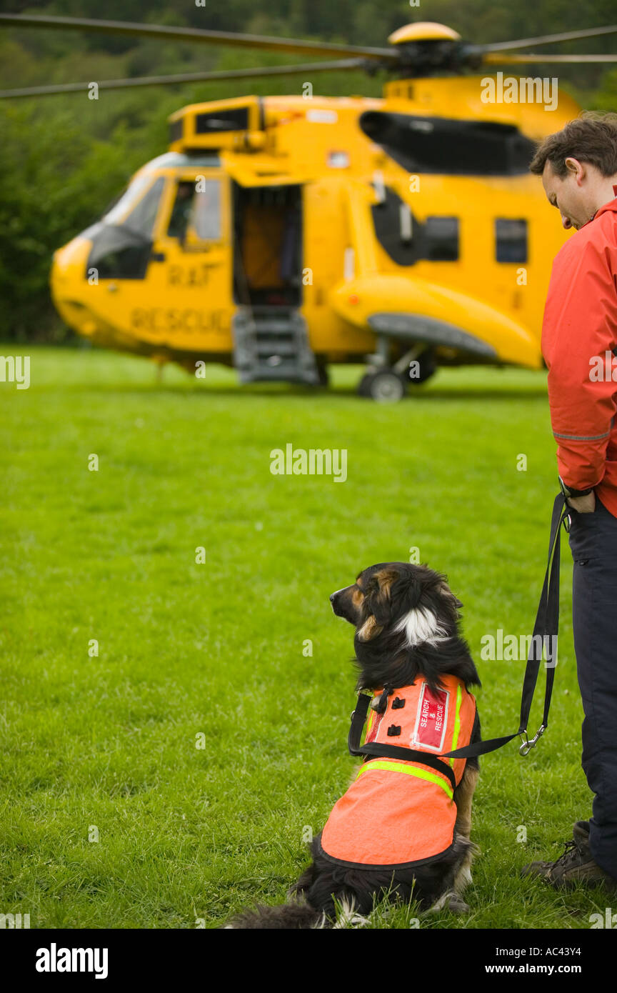 a Search and rescue Dog Association member and RAF Sea King Helicopter ...