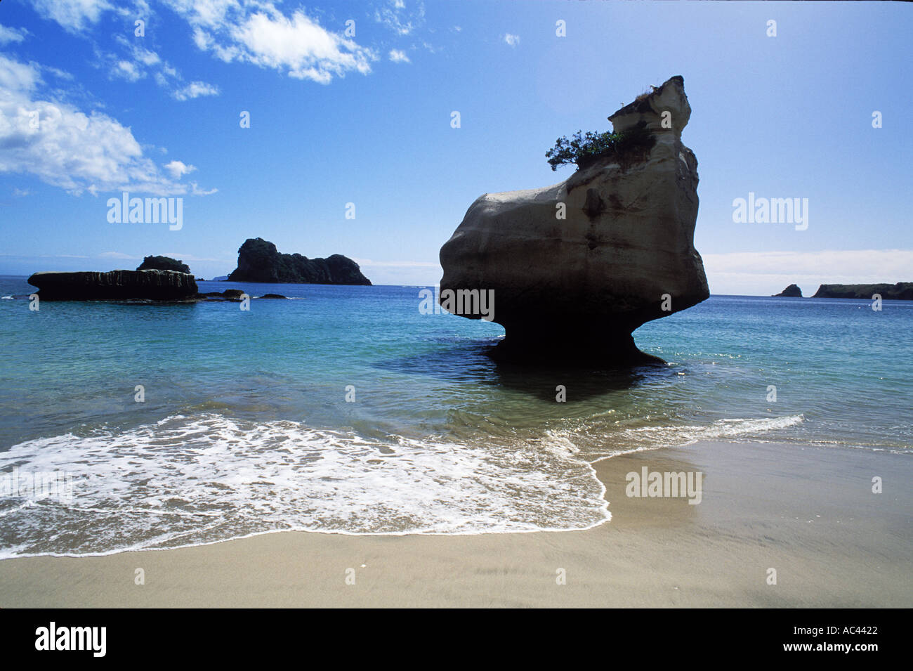 Rock formation and coastline Coromandel Peninsula North Island NZ Stock ...