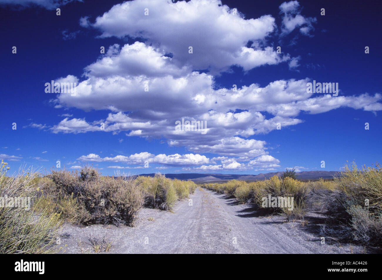 Desert road at midday with clouds near Mono Lake CA Stock Photo - Alamy