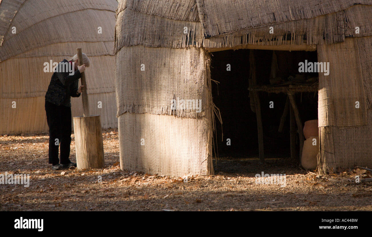Grinding grain outside a longhouse in Amerindian Algonquin longhouse ...