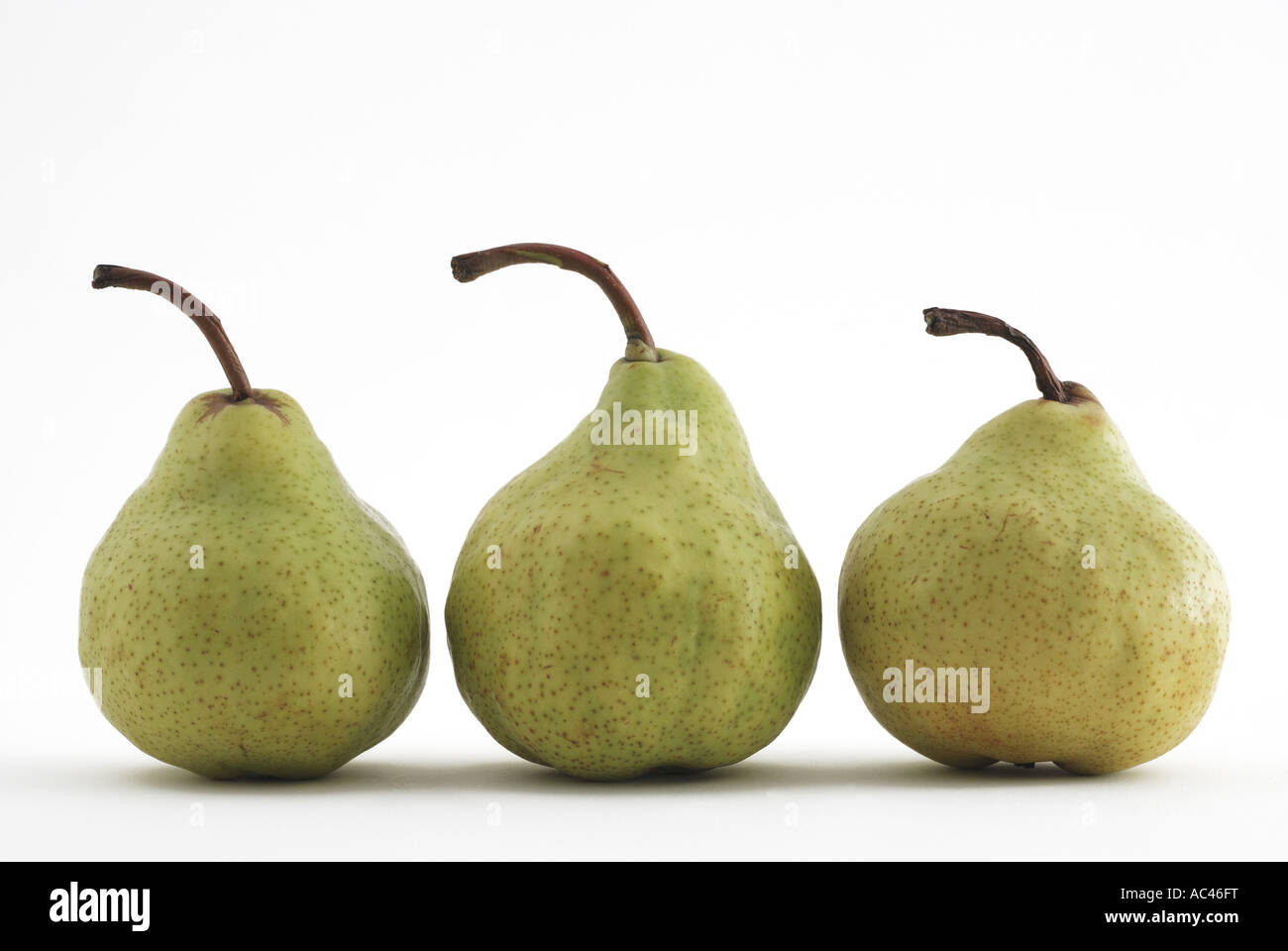 ORGANIC FRESH PEARS ON WHITE BACKGROUND VARIETY: PACKHAMS Stock Photo ...