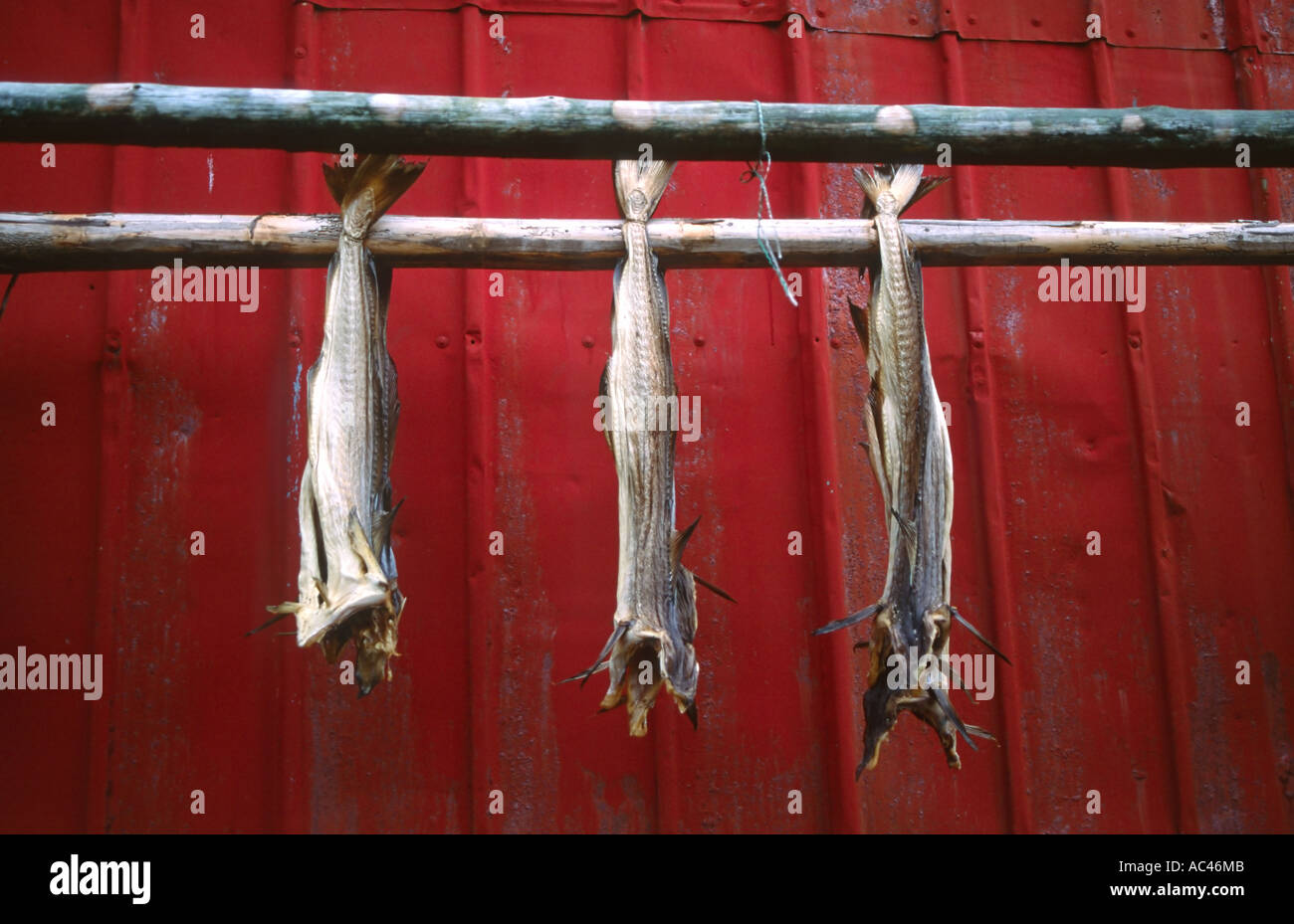 Lutefisk hi-res stock photography and images - Alamy