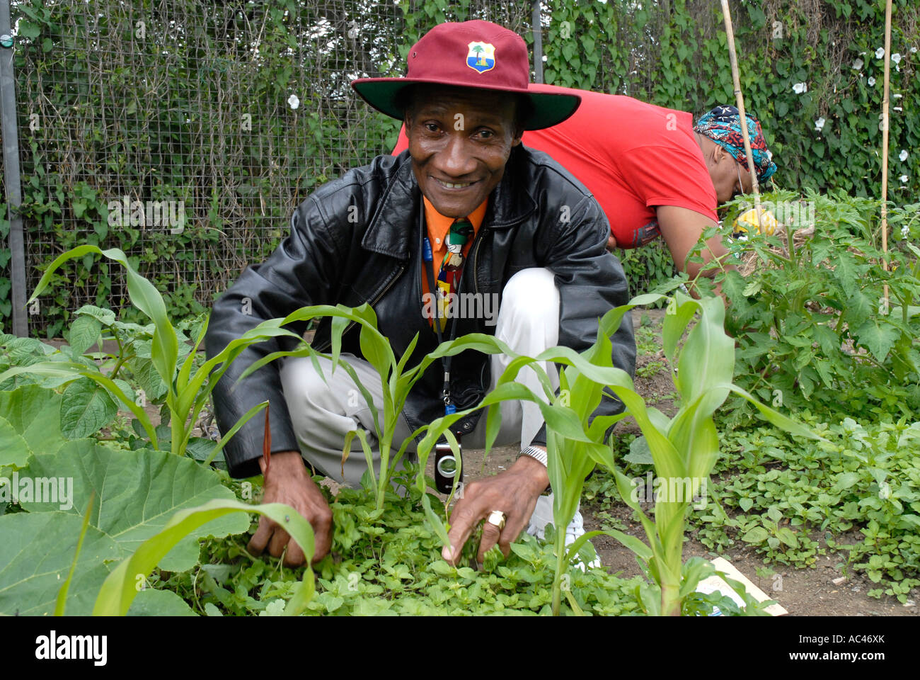 South african crops hi-res stock photography and images - Alamy