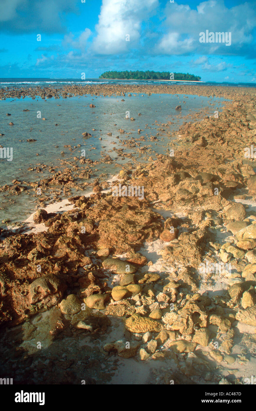Exposed coral reef during low tide Tokewa I Mili Marshall Islands N ...