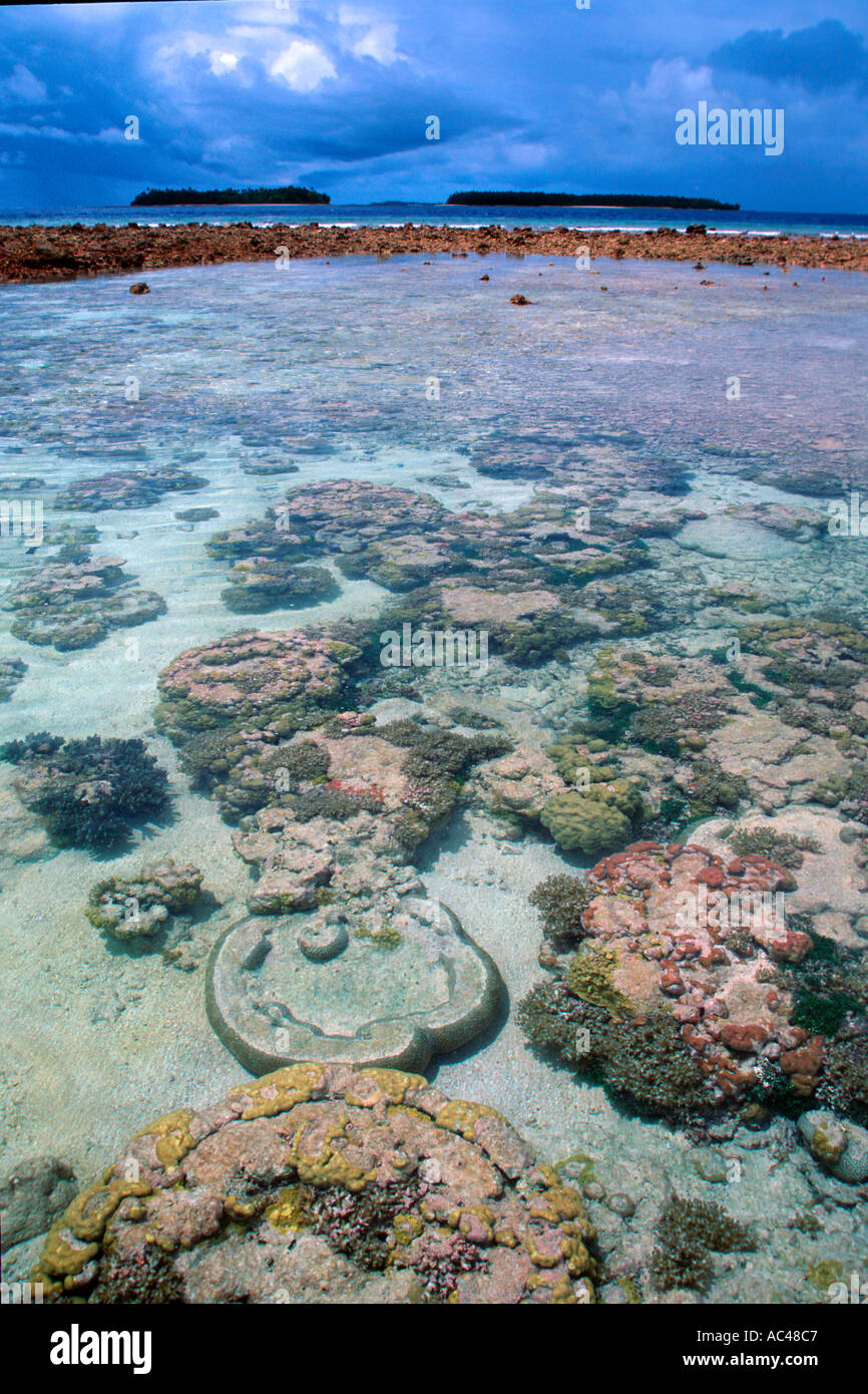 Mili atoll hi-res stock photography and images - Alamy