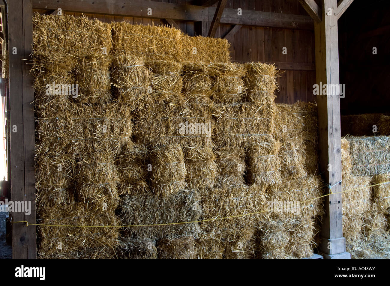 Hay stacked in a New England post and beam barn for feeding livestock ...