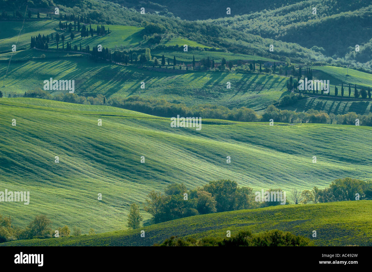 Rural countryside landscape in Tuscany region of Italy Stock Photo - Alamy