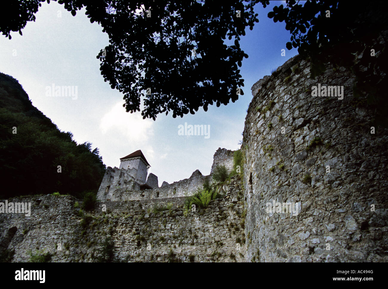 Slovenia grad kamen kamen castle hi-res stock photography and images ...