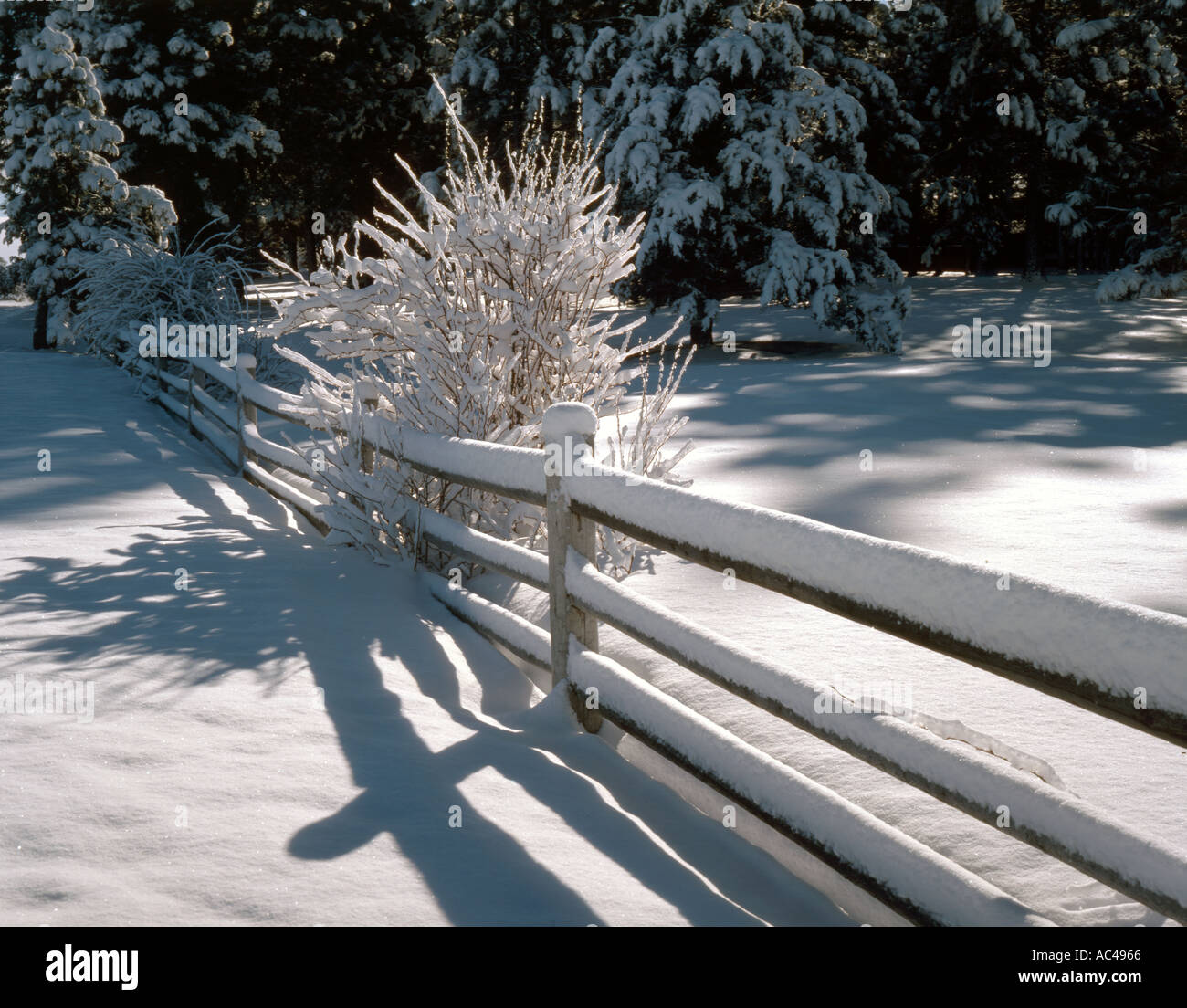 Deep Winter and new snowfall on a rural fence and bushes Horizontal ...