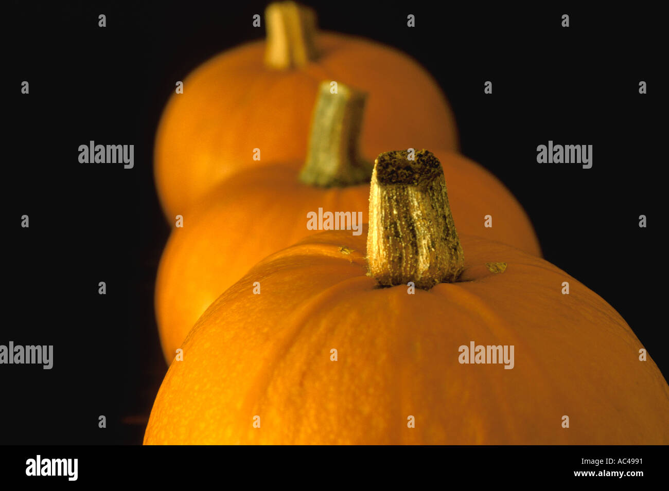 3 pumpkins hi-res stock photography and images - Alamy