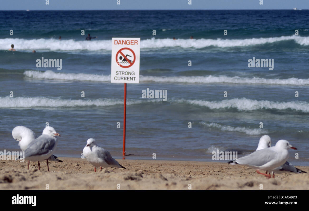 Seagull Warning Sign Stock Photos & Seagull Warning Sign Stock Images ...