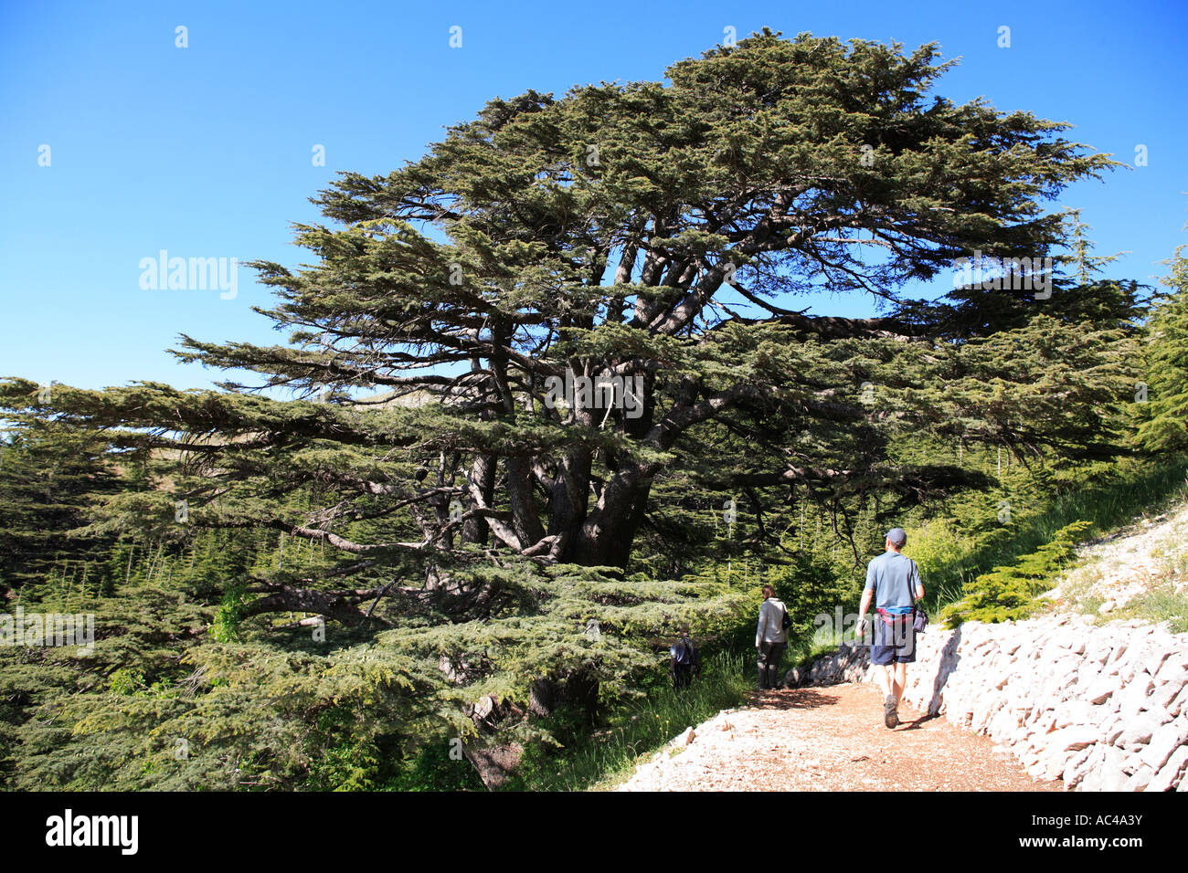 Chouf mountain hi-res stock photography and images - Alamy