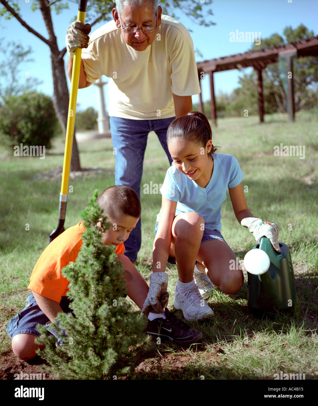 Hispanic grandfather and his two grandkids planting a tree Santa Fe NM ...