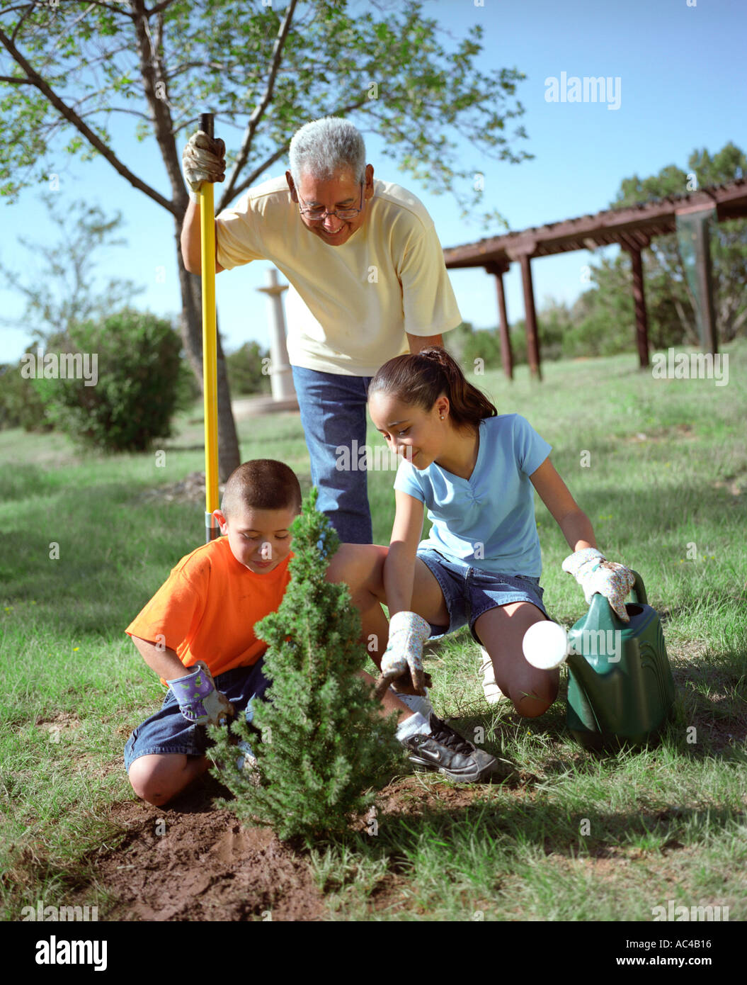 Legacy family tree hi-res stock photography and images - Alamy