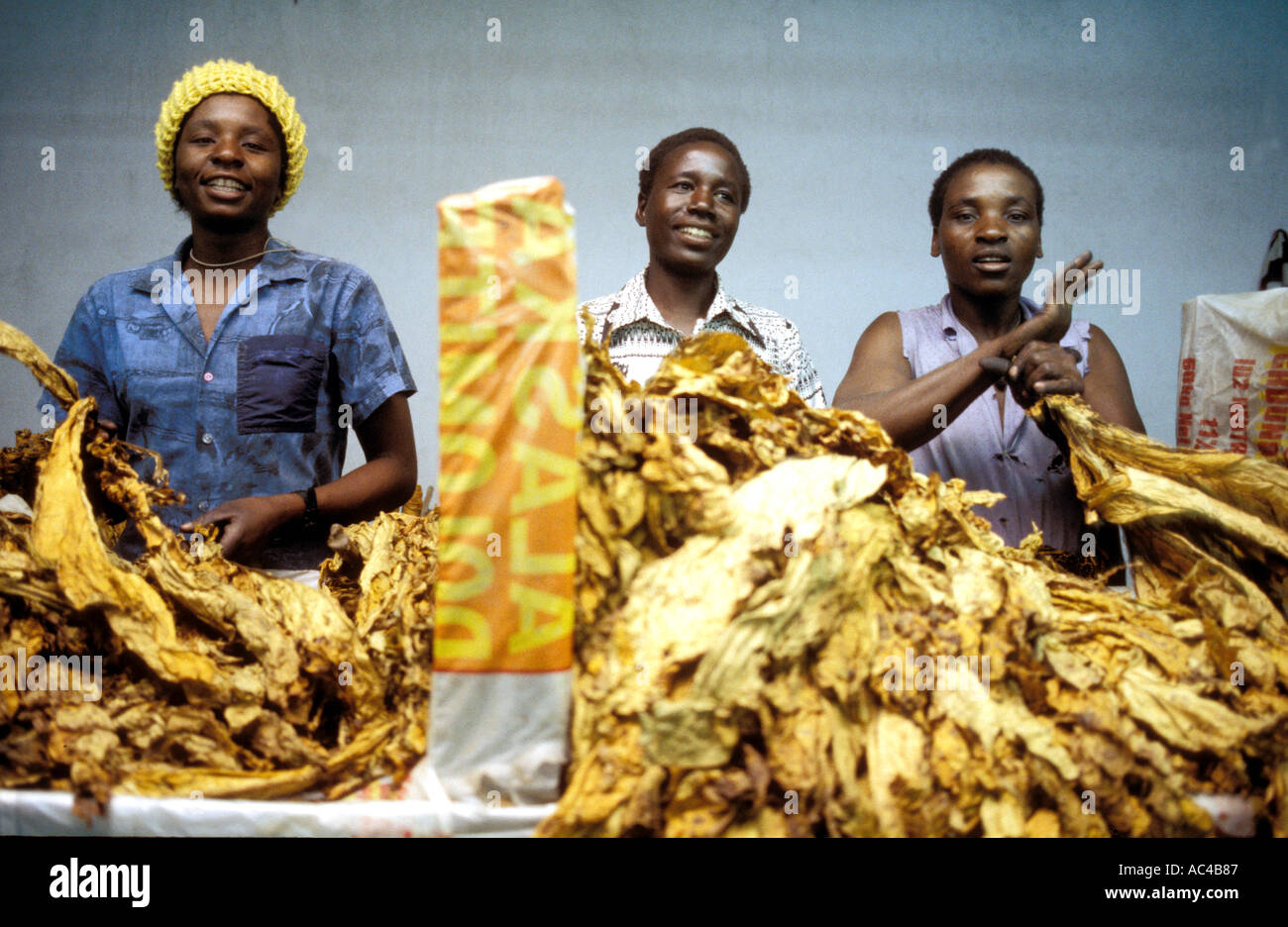 Zimbabwean women hi-res stock photography and images - Alamy