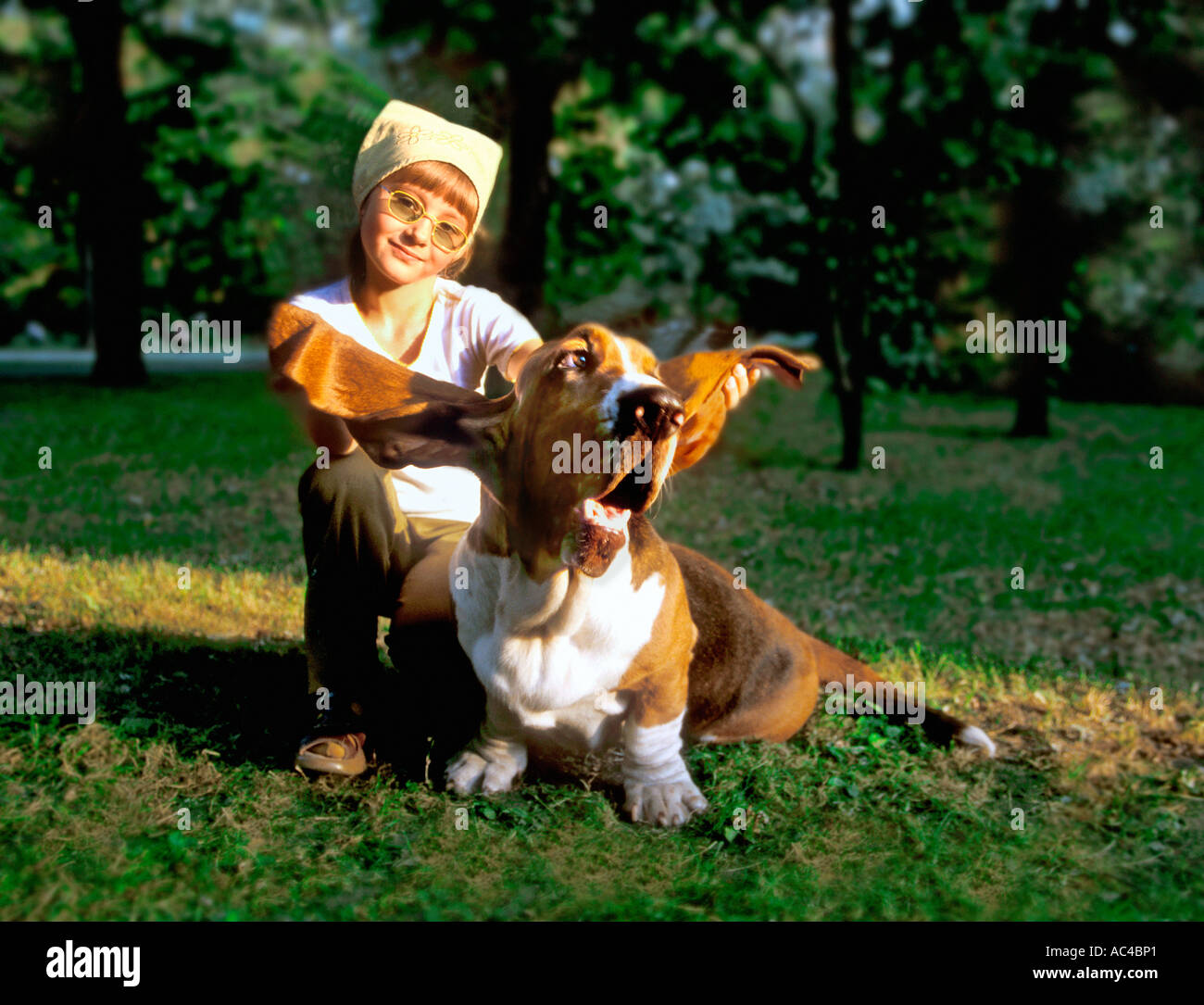 Pulling the ears of dog hi-res stock photography and images - Alamy