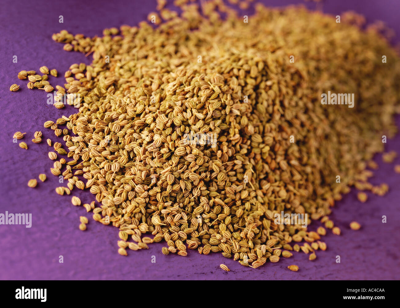 Ajwain seeds hi-res stock photography and images - Alamy