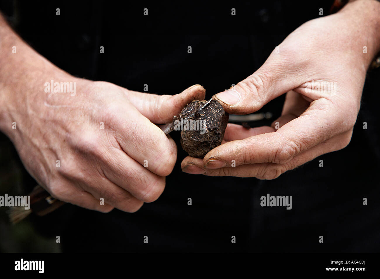 Festival of truffles hi-res stock photography and images - Alamy