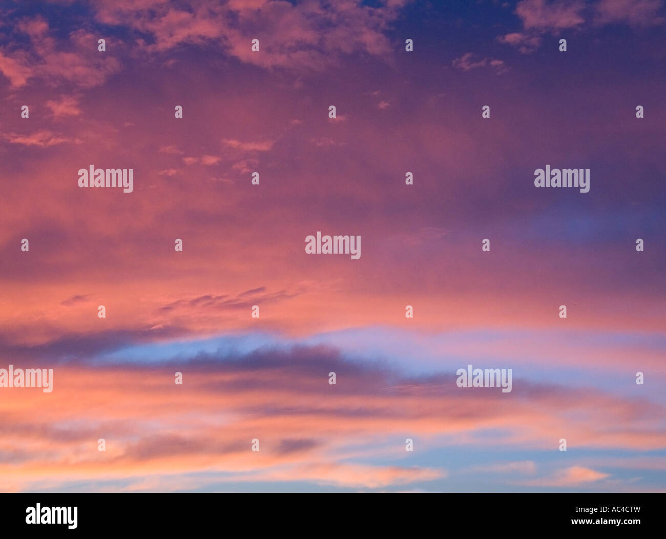 The pinks and blues of an altocumulus sunset Stock Photo - Alamy