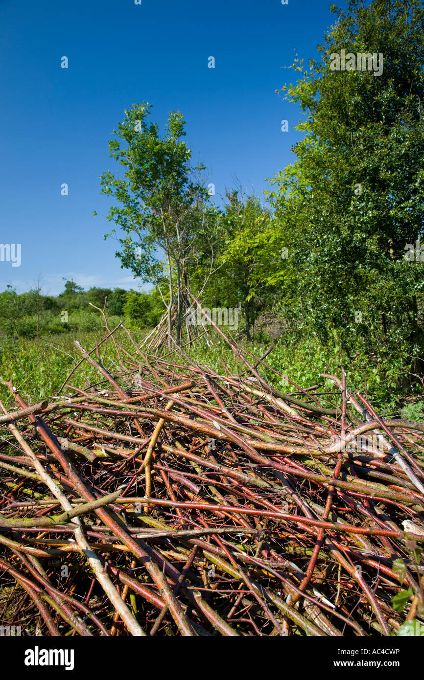 Traditional fencing hi-res stock photography and images - Alamy