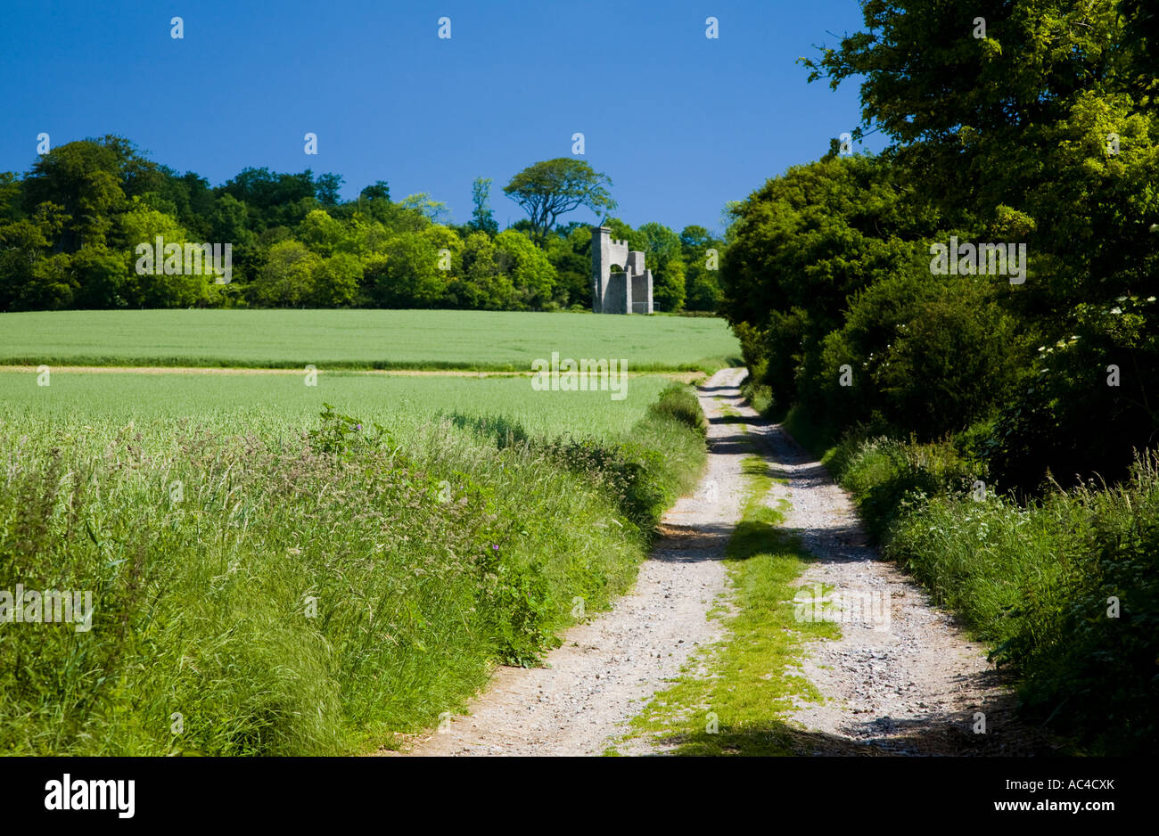 Slindon hi-res stock photography and images - Alamy