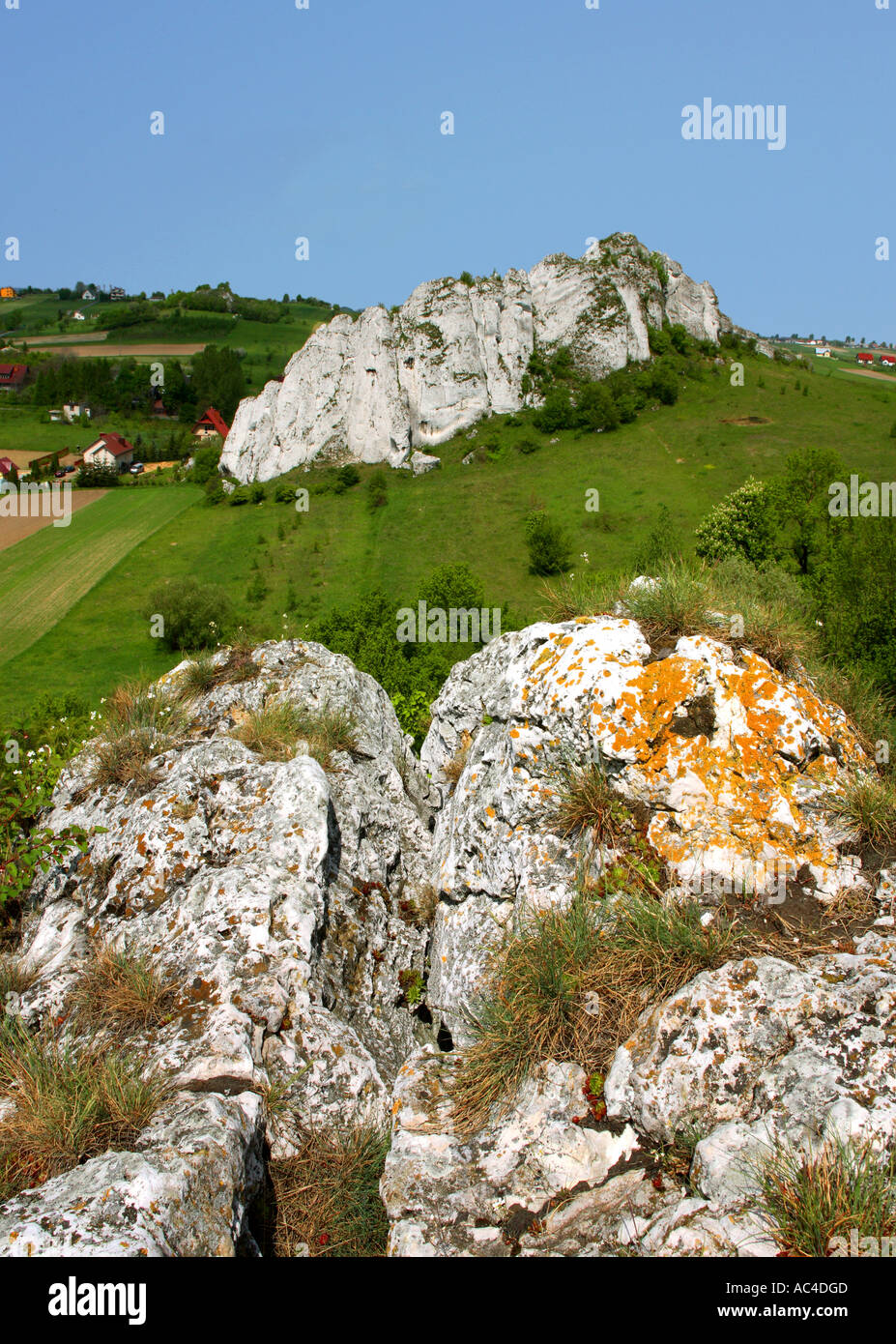 Limestone rocks in Jura Krakow Czestochowa Poland Stock Photo - Alamy