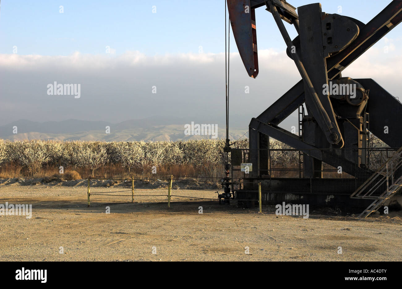 Blooming fruit gardens near Maricopa, California Stock Photo - Alamy