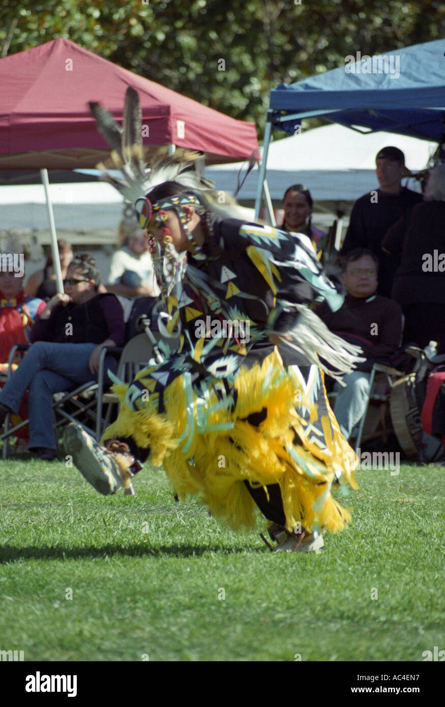 Young Grass Dancer Stock Photo - Alamy