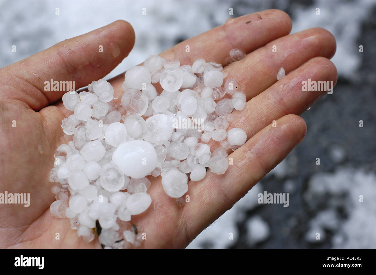 hail on a hand Stock Photo - Alamy