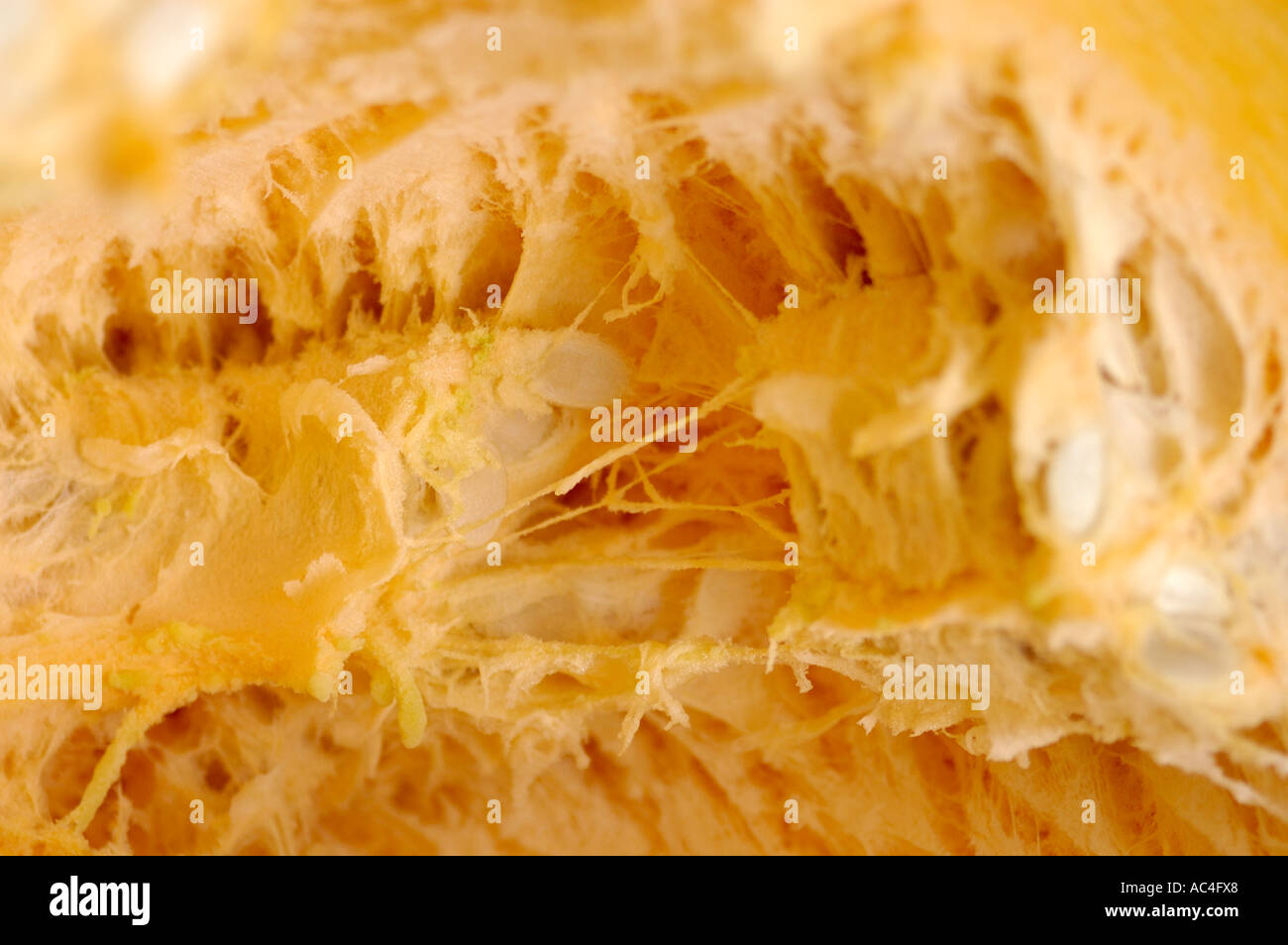 Inner pulp hi-res stock photography and images - Alamy