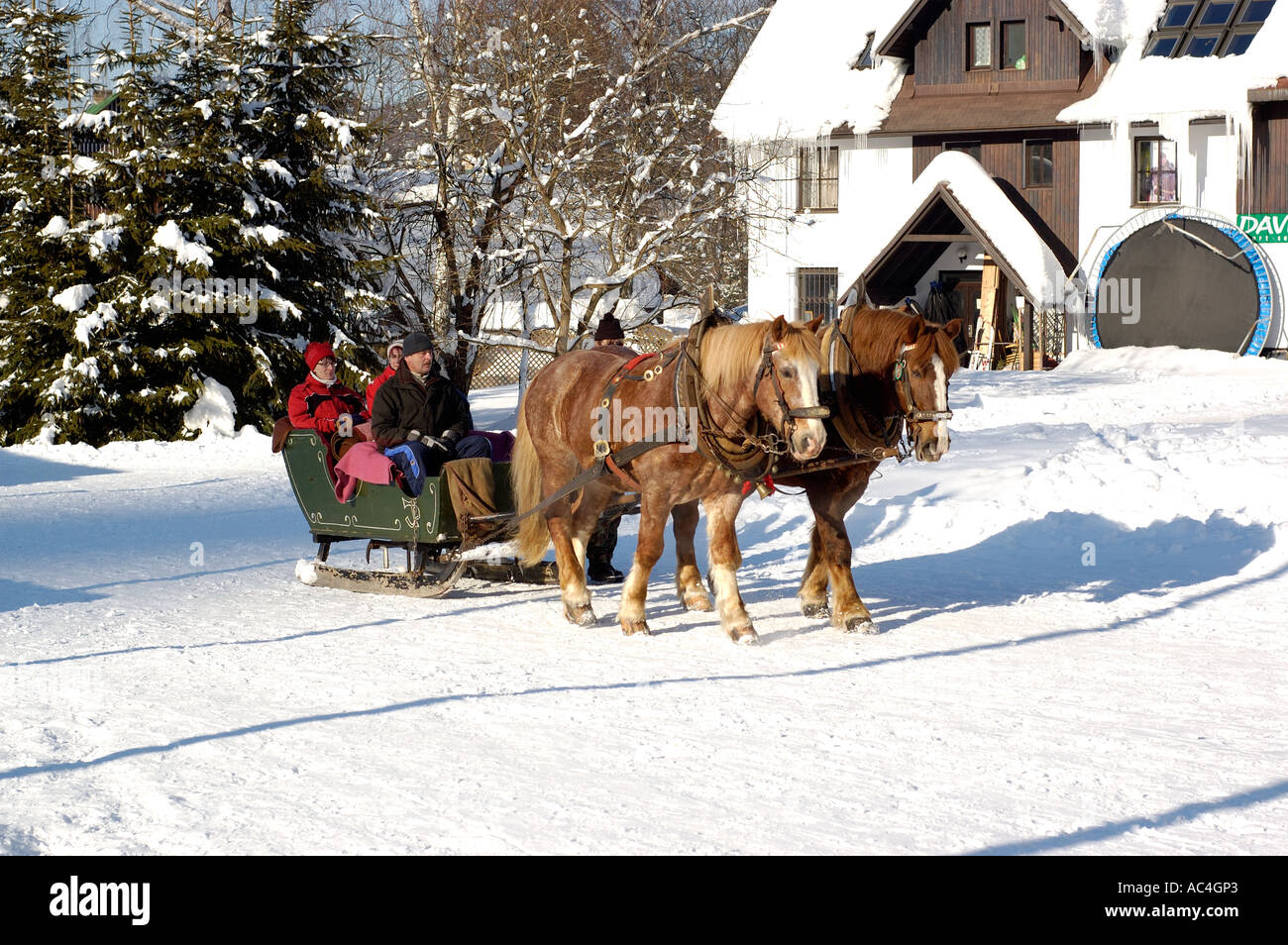 Horses pulling sled hi-res stock photography and images - Alamy