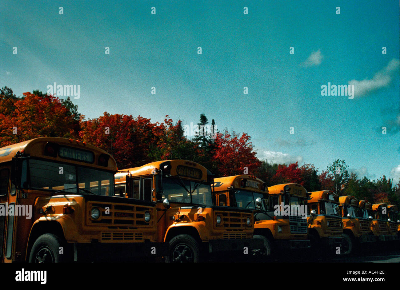 Schoolbus rural hi-res stock photography and images - Alamy