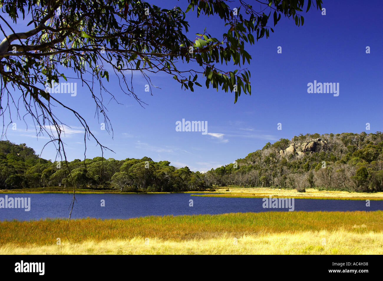 Lake Catani Mount Buffalo National Park Victoria Australia Stock Photo ...