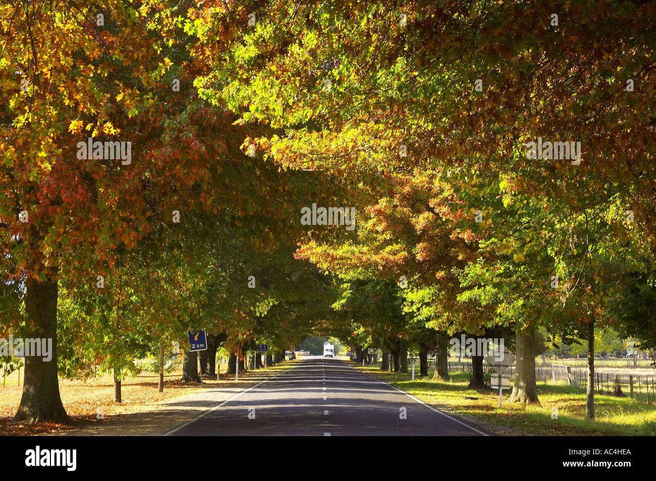 Bright victoria hi-res stock photography and images - Alamy