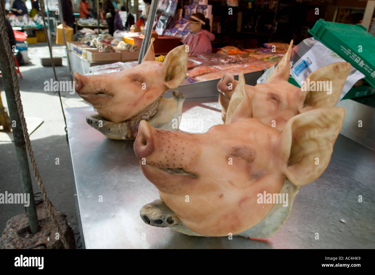 Fish with pig head hi-res stock photography and images - Alamy