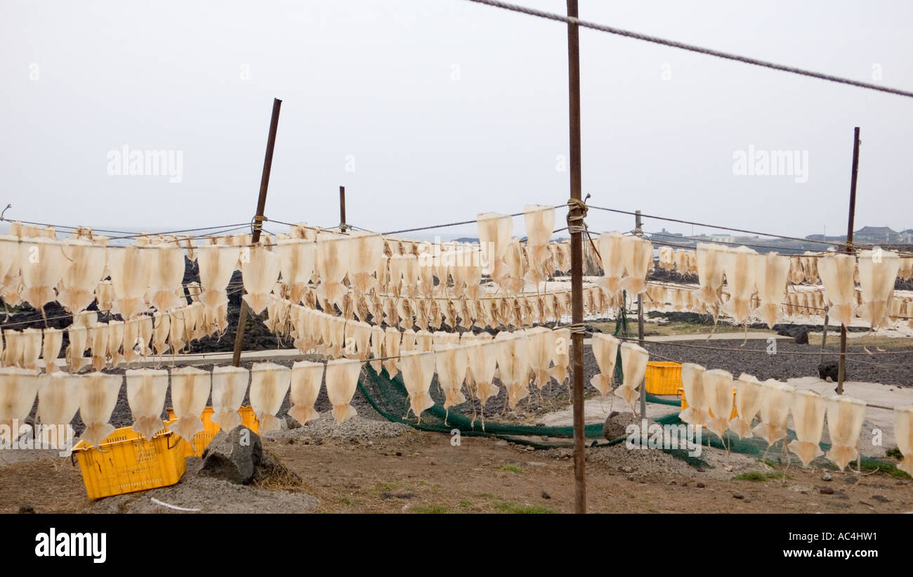 Korea chejudo island hi-res stock photography and images - Alamy