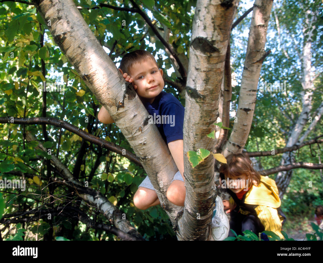 Boy lying on tree branch hi-res stock photography and images - Alamy