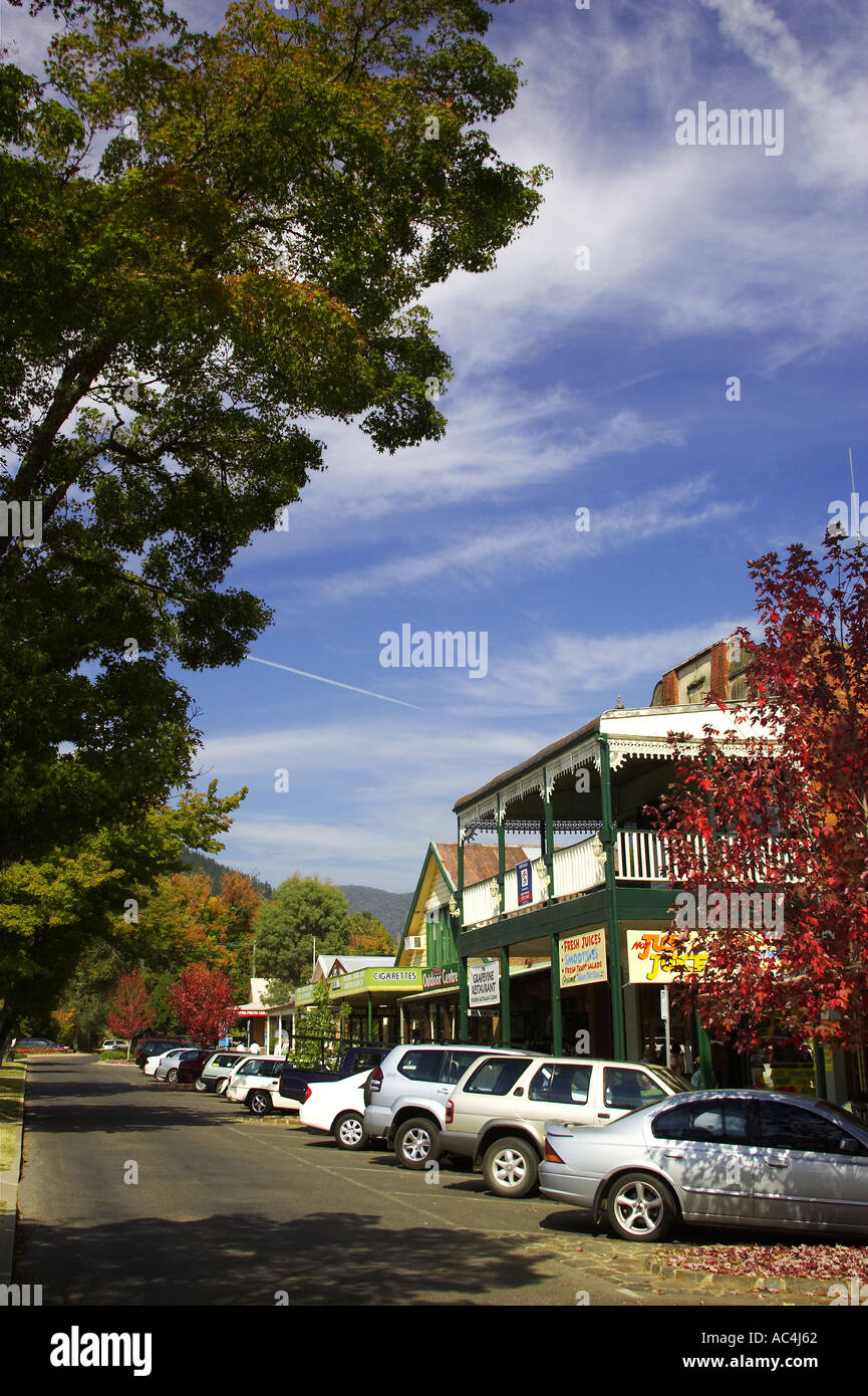Australian maple leaf hi-res stock photography and images - Alamy