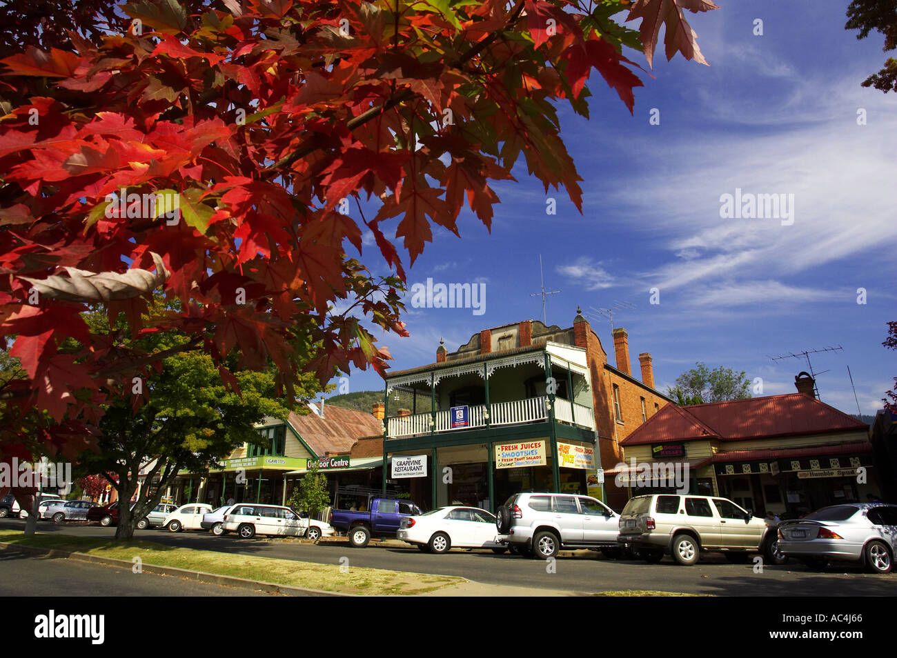 Autumn Colours Bright Victoria Australia Stock Photo - Alamy