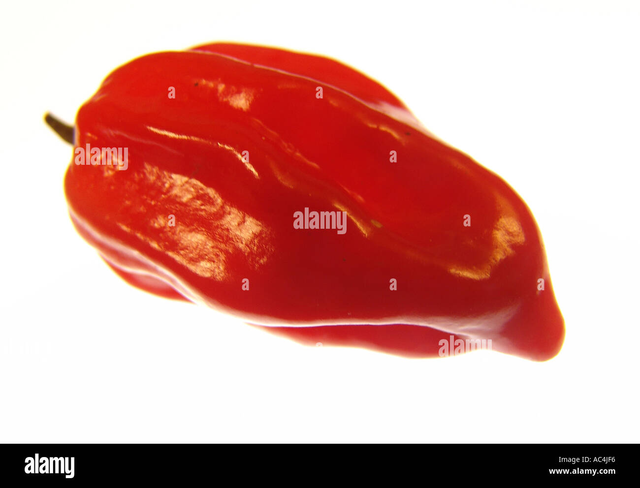 Cilli pepper hi-res stock photography and images - Alamy