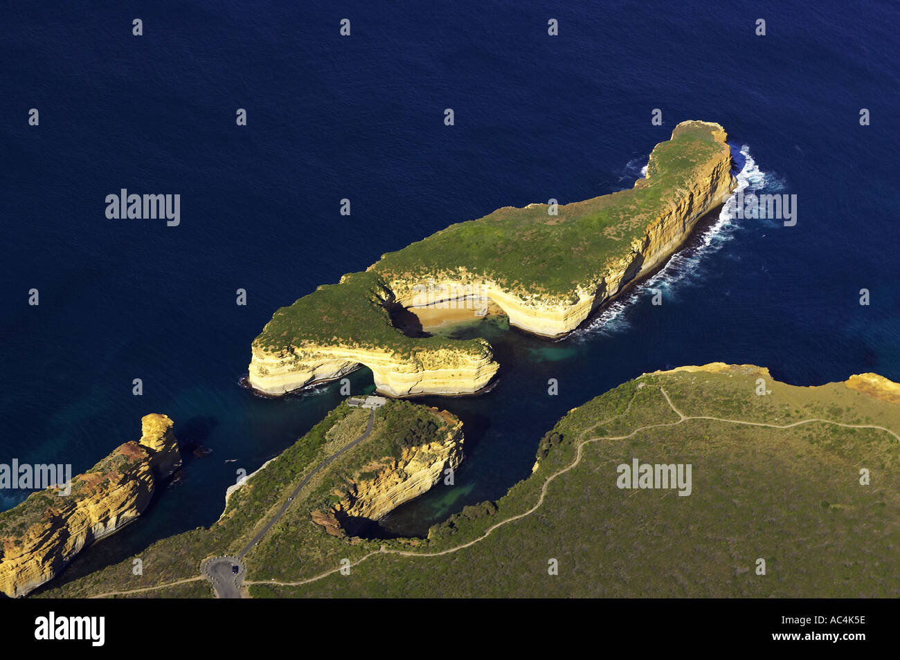 Australia australian bird muttonbird mutton hi-res stock photography ...