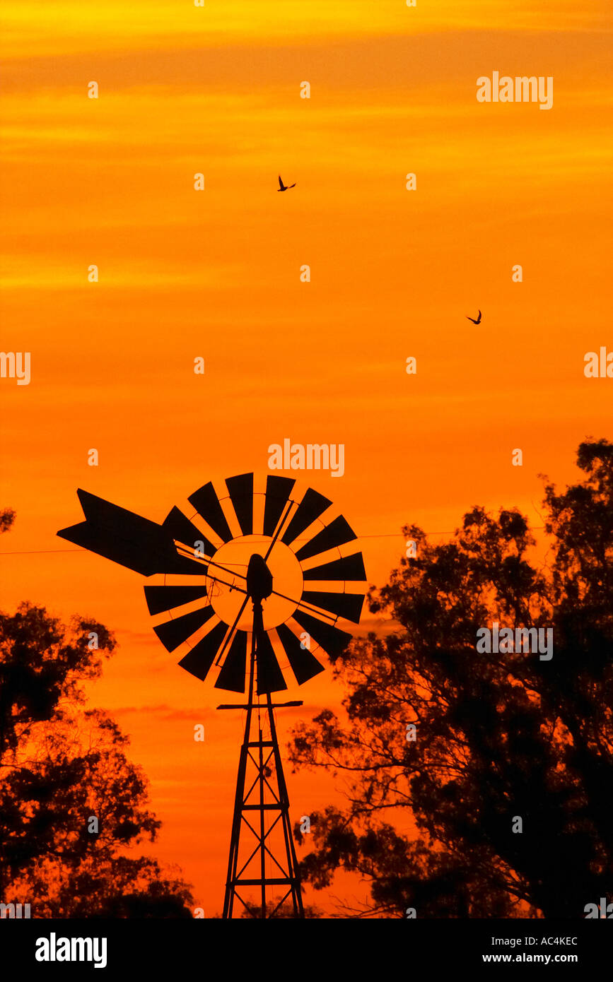 Windmill at Sunset Australia Stock Photo - Alamy