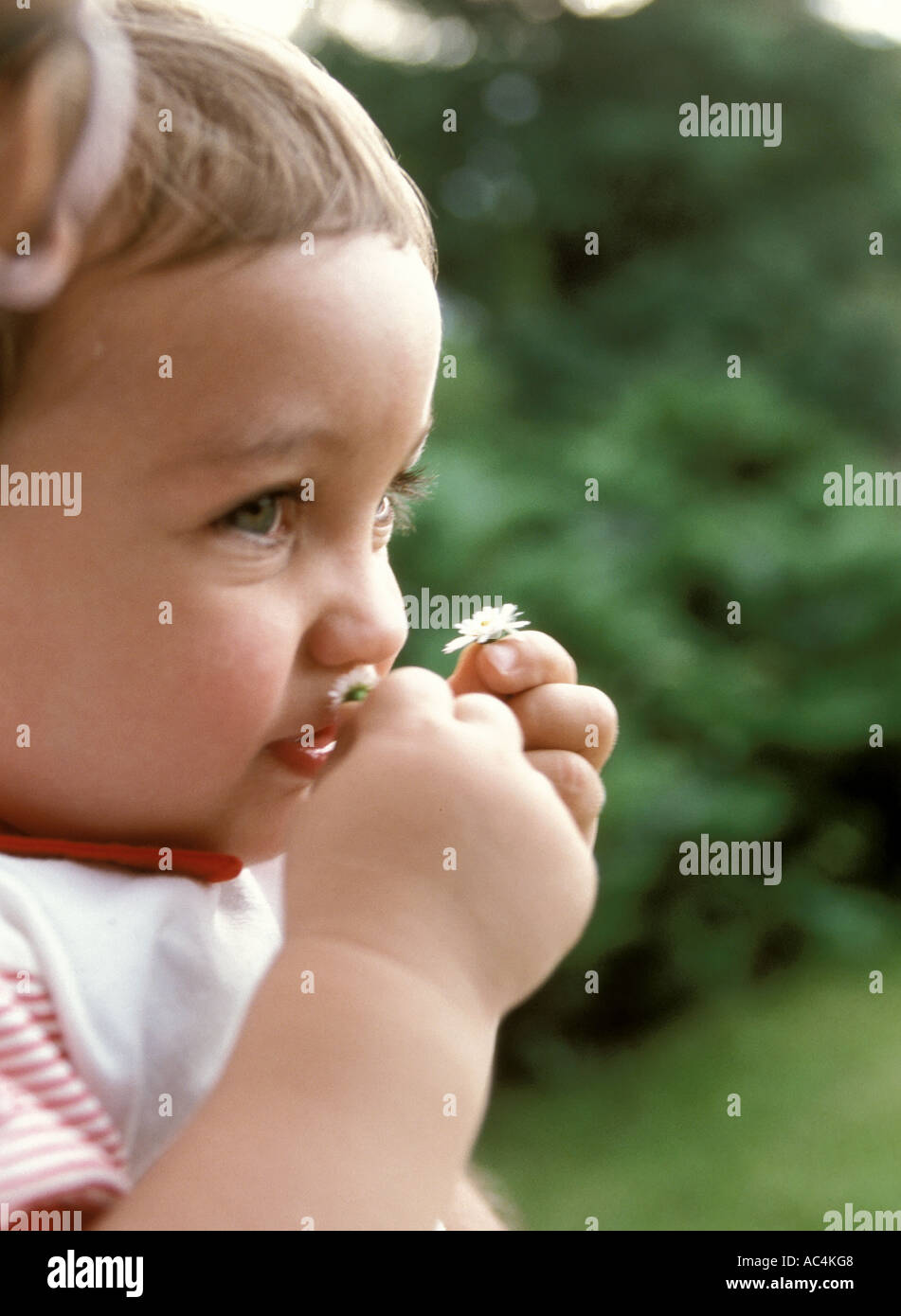 Little girl sniffing flowers hi-res stock photography and images - Alamy