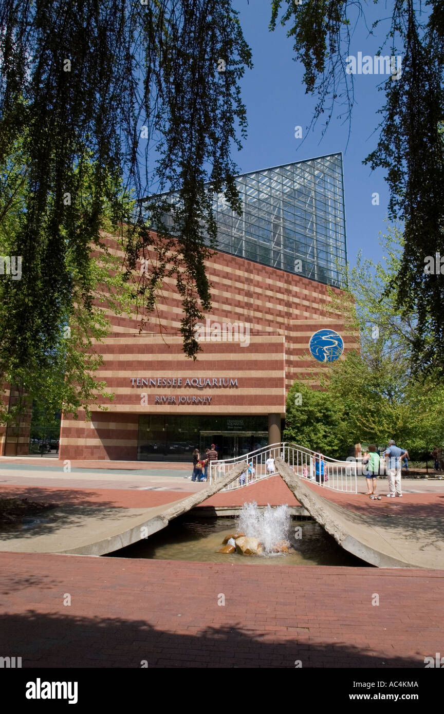The Tennessee Aquarium in Chattanooga, Tennessee Stock Photo - Alamy
