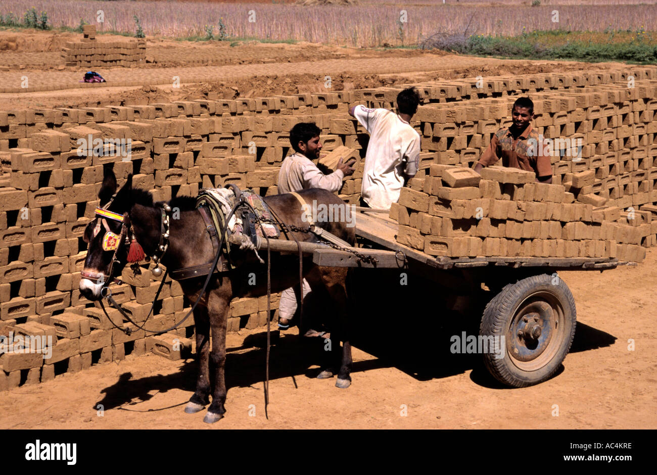India Rajasthan Stone Factory stones Stock Photo - Alamy