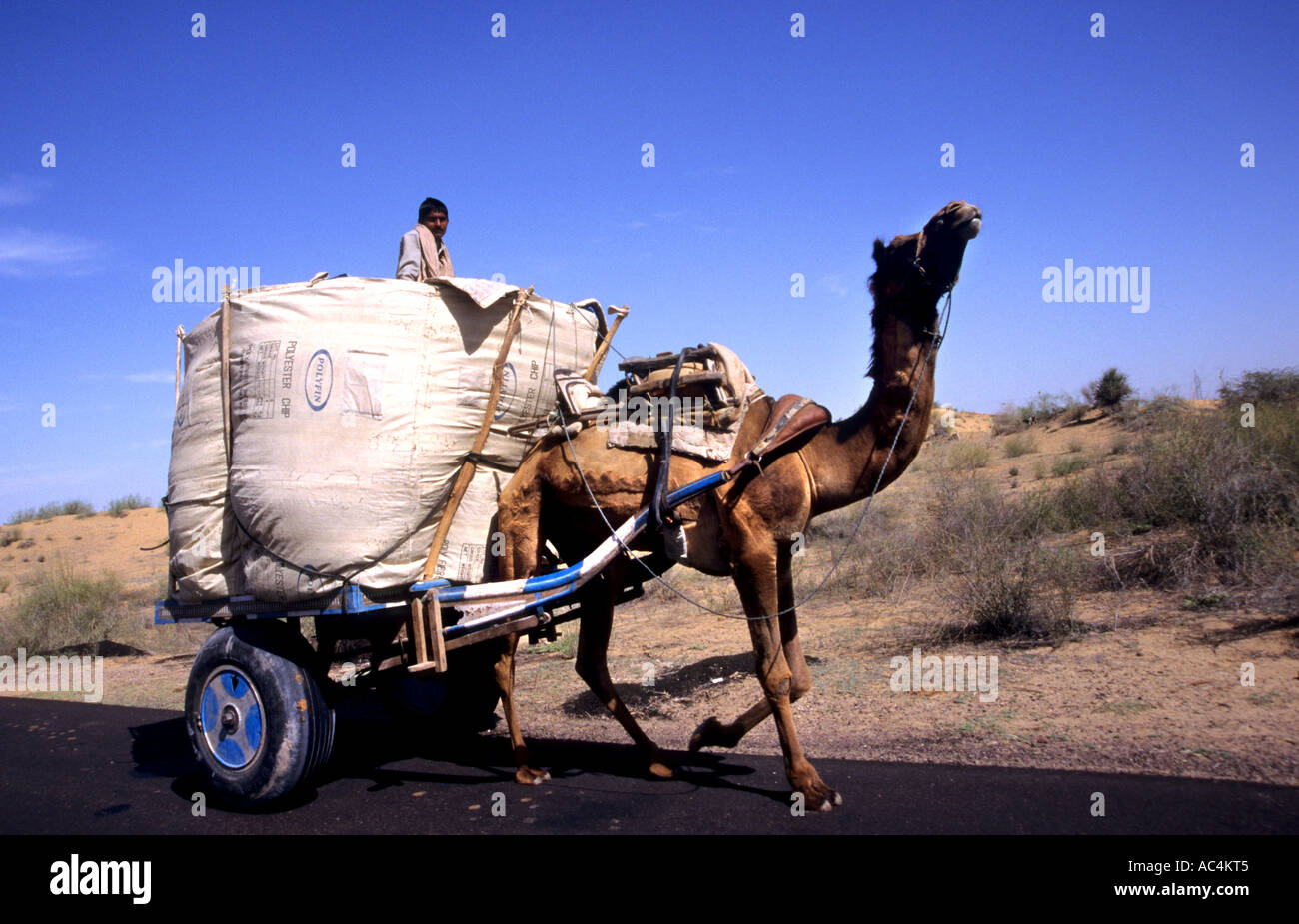 Use Camel Cart