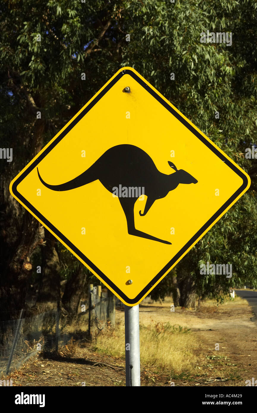 Kangaroo Warning Sign near Ararat Victoria Australia Stock Photo - Alamy