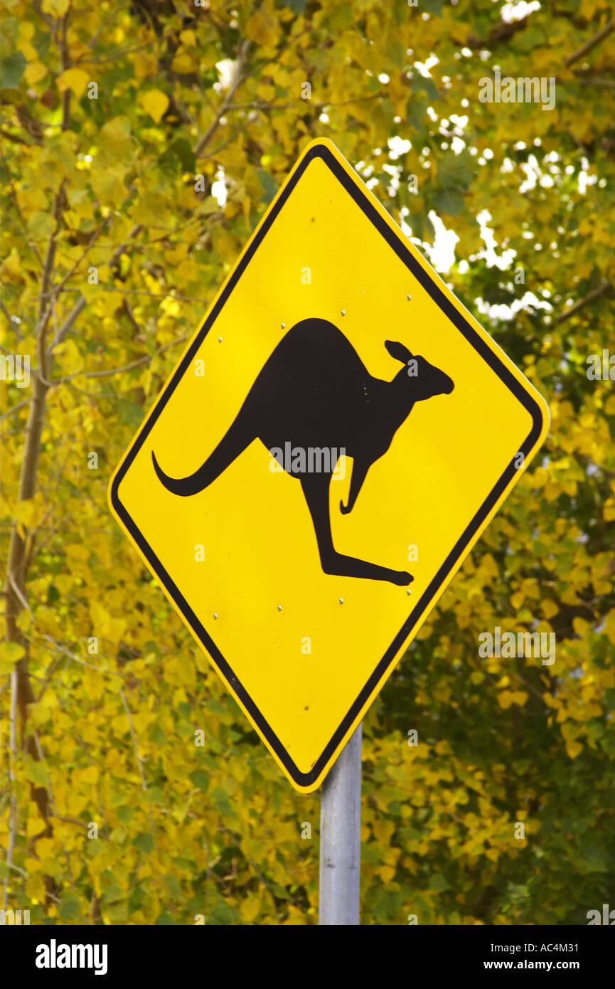 Kangaroo Warning Sign near Bright Victoria Australia Stock Photo - Alamy